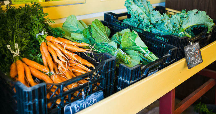 Home - Lexington Community Farm