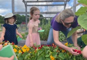 Education - Lexington Community Farm