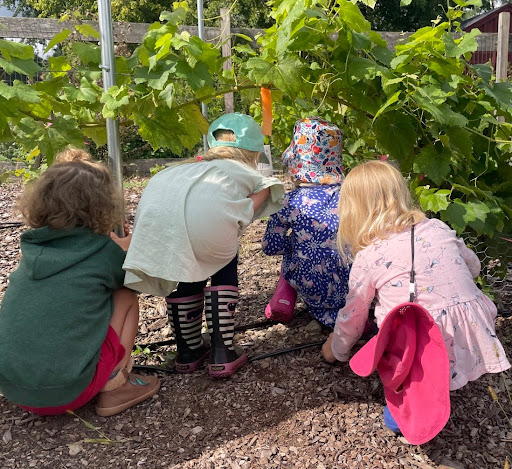 Education - Lexington Community Farm